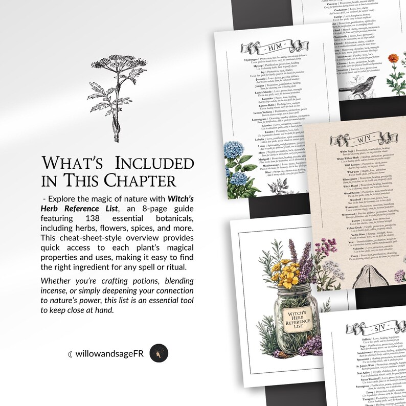 Witch’s Herb Guide – 40+ Magical Herbs Reference Pages, Grimoire Book ...