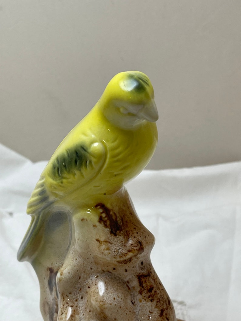 Vintage Ceramic Parakeet Statue From Brazil - Etsy