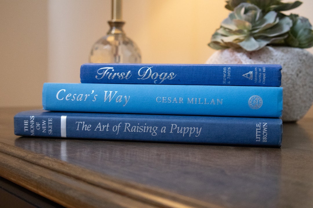 Chien DOG Display Book Collection for Styling Bookshelves, Showing Love ...