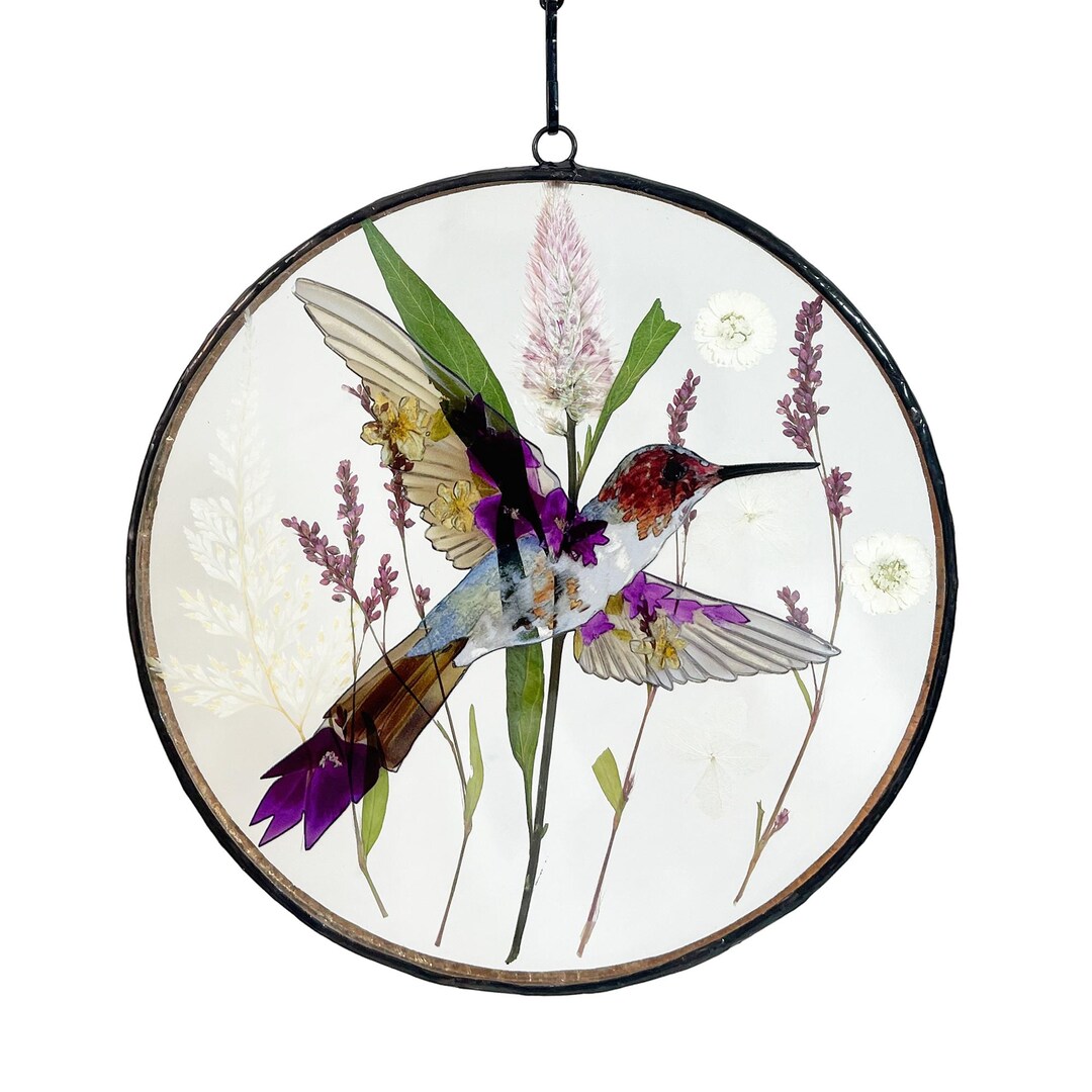 Real Pressed Dried Pteris Flowers and Hummingbird Stained Glass ...
