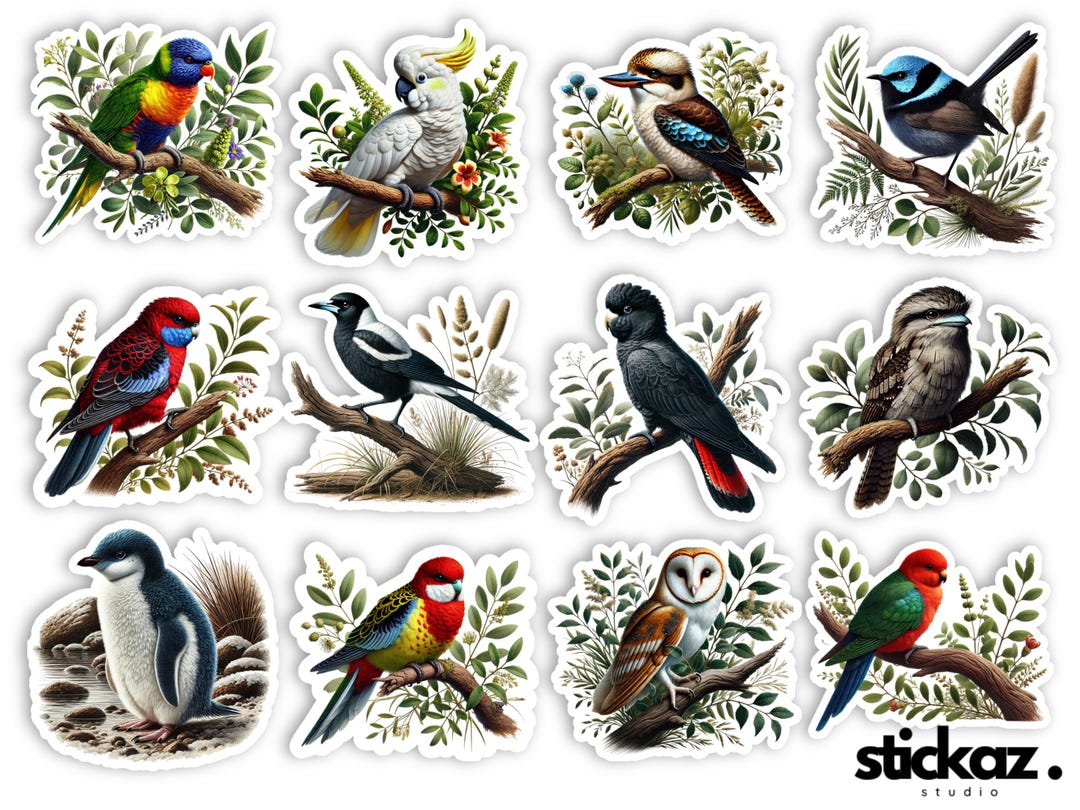 12 Pcs Australian Birds Kookaburra Cockatoo Magpie Lorikeet Penguin Owl ...