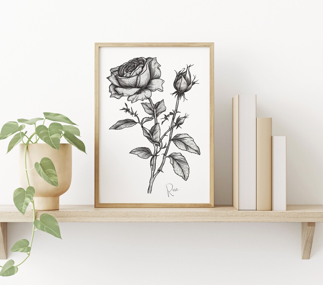 Rose Birth Flower Art Birth Month Flower Wall Art Birth Flower June ...