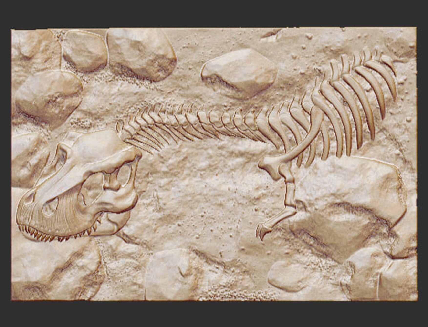 T-rex Fossil 3D STL File - Etsy