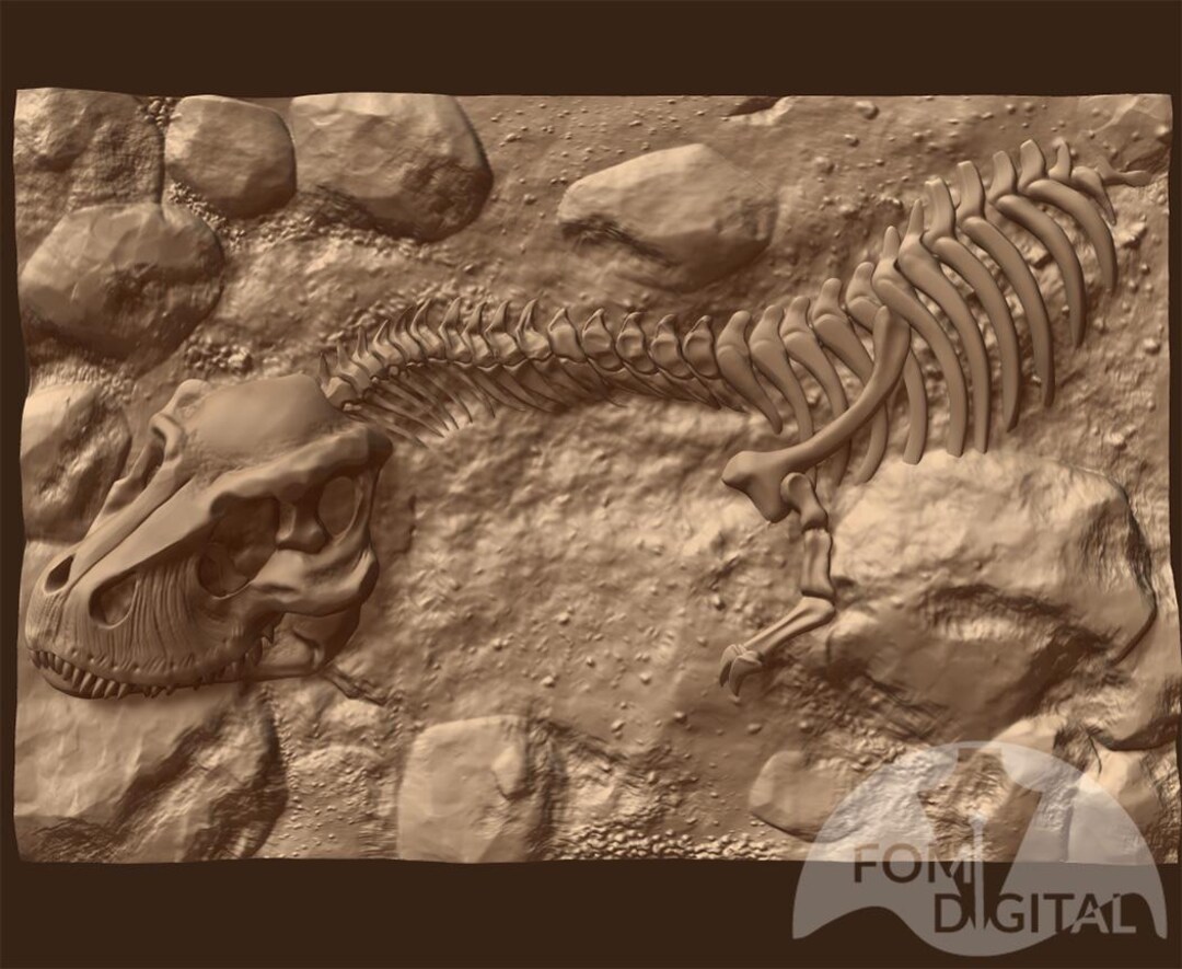 T-rex Fossil 3D STL File - Etsy