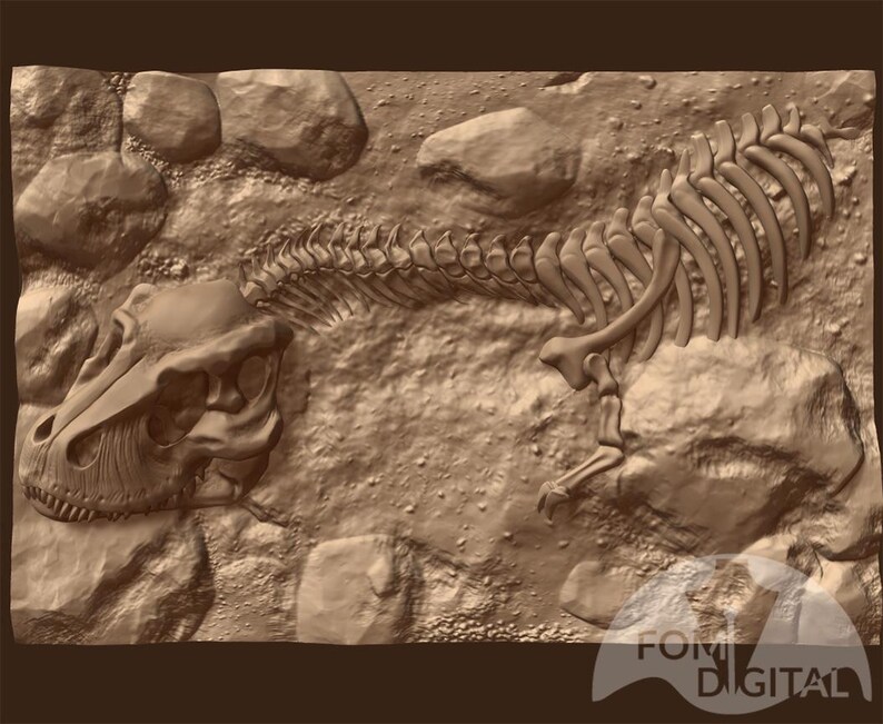 T-rex Fossil 3D STL File - Etsy
