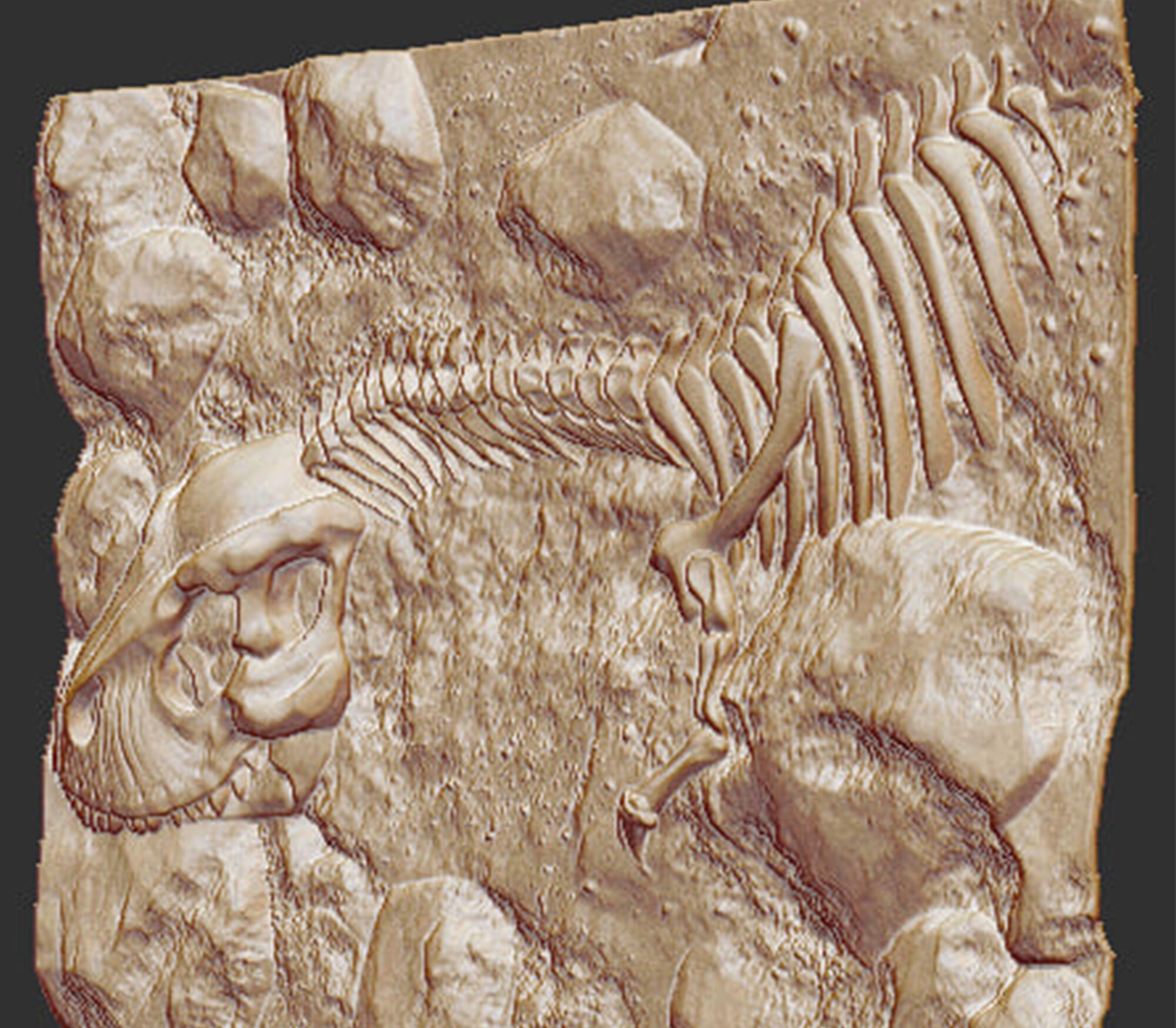 T-rex Fossil 3D STL File - Etsy