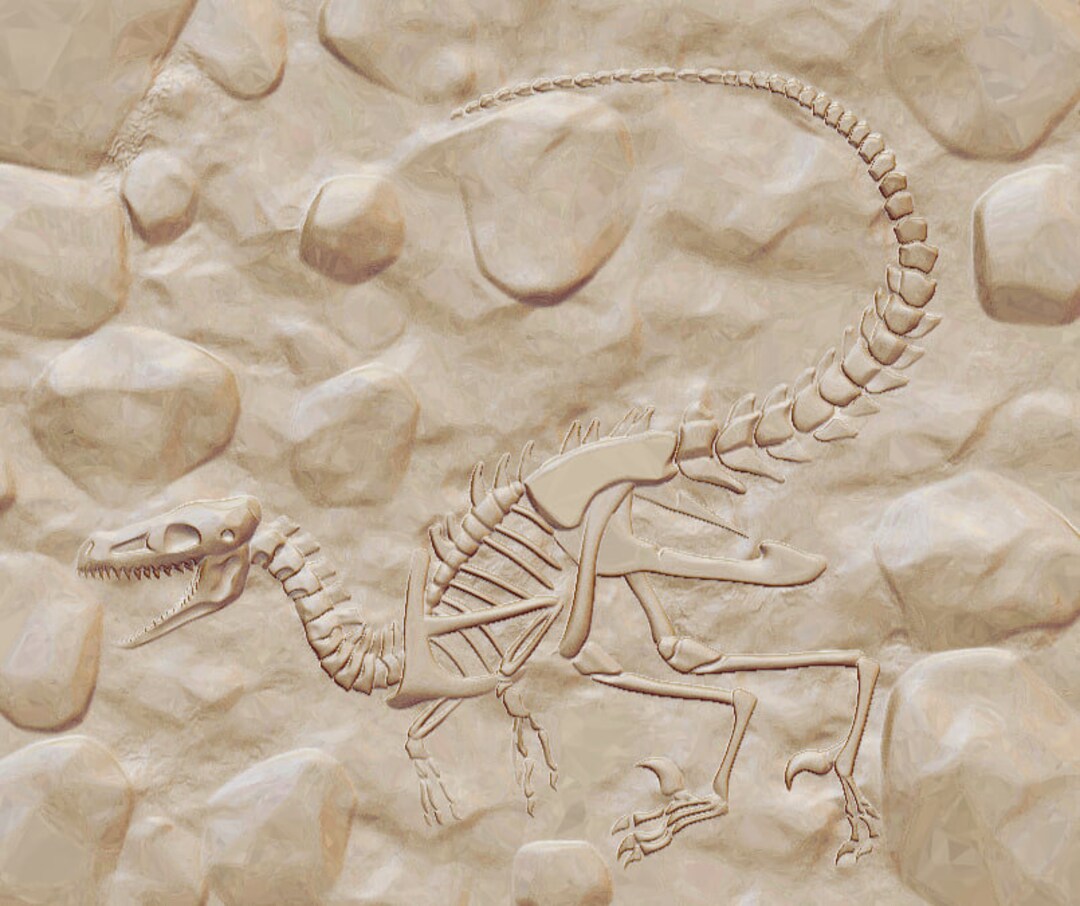 Velociraptor Fossil 3D STL File - Etsy