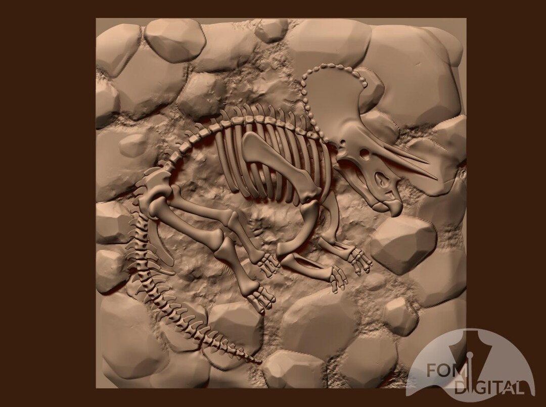 Triceratops Fossil 3D STL File - Etsy
