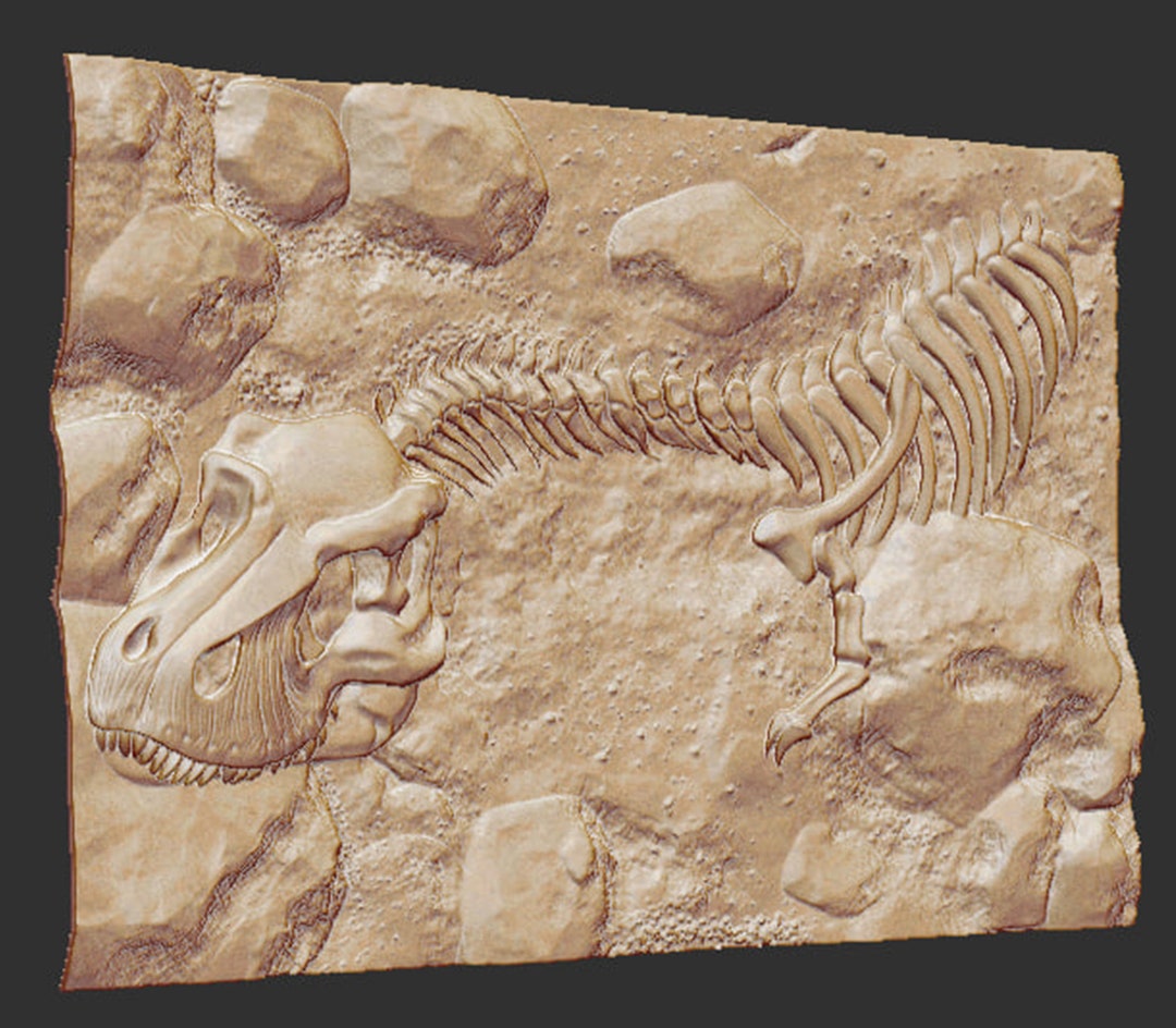 T-rex Fossil 3D STL File - Etsy