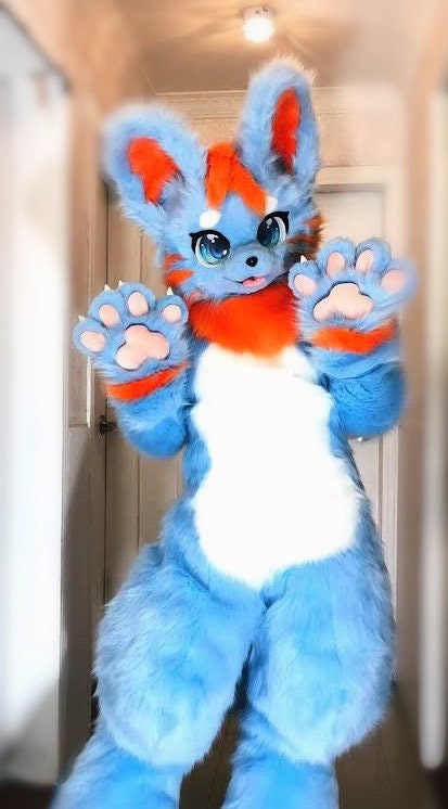 Down Payment, Custom Your Own Fursuit, Full Fursuit, Fursona, Kemono ...