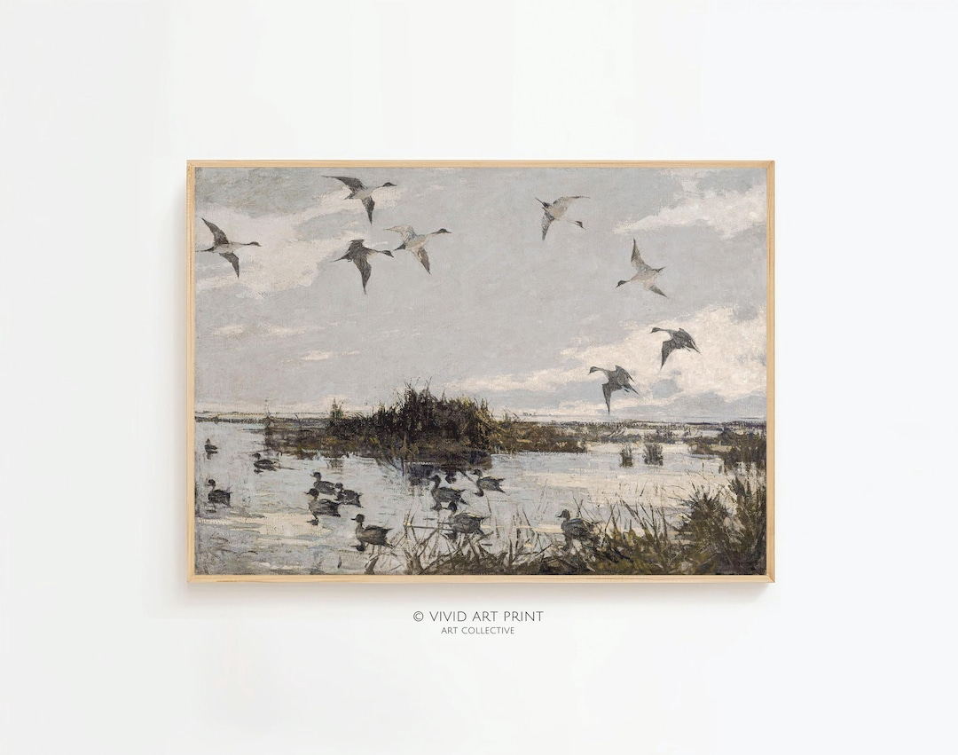 PRINTABLE Vintage Marsh Birds Wall Art | Classic Nature Farmhouse Home ...