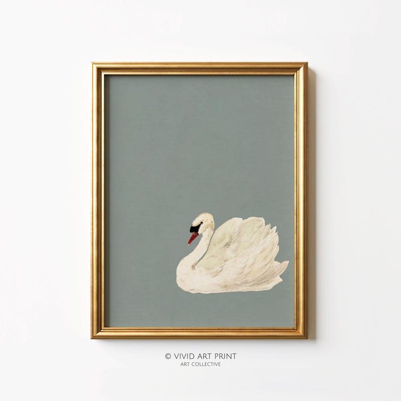 Swan Print - Etsy