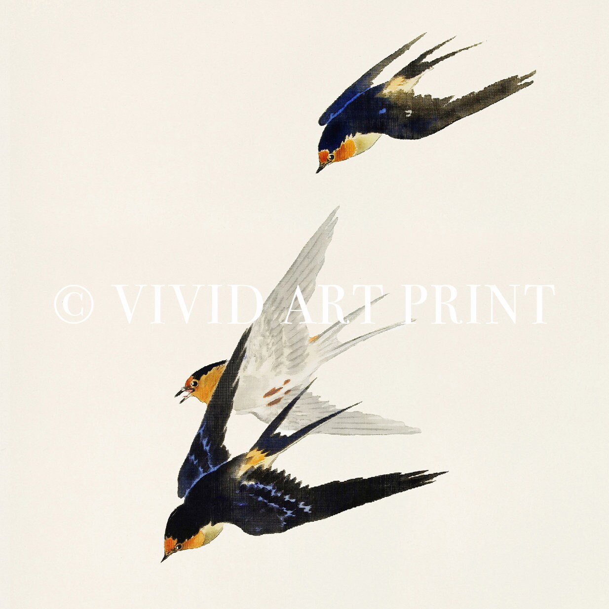 Vintage Bird PRINTABLE Art "three Swallows" Nursery Printable Digital ...