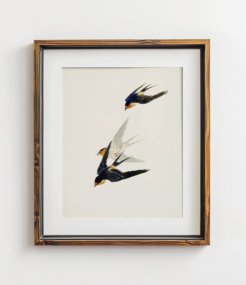 Vintage Bird PRINTABLE Art "three Swallows" Nursery Printable Digital ...