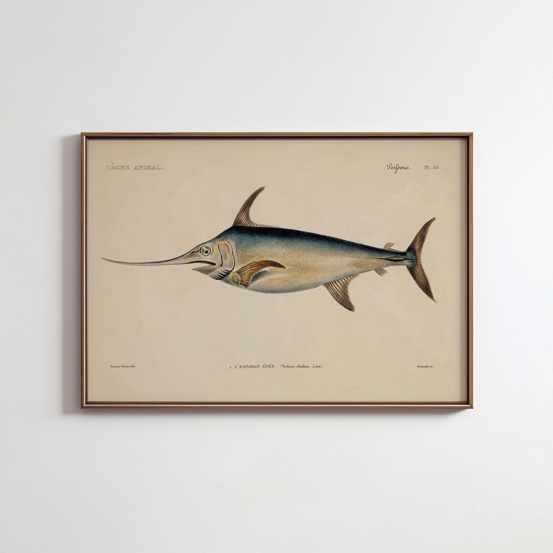 Vintage Swordfish PRINTABLE Wall Art | Coastal Cottage Decor Nautical ...