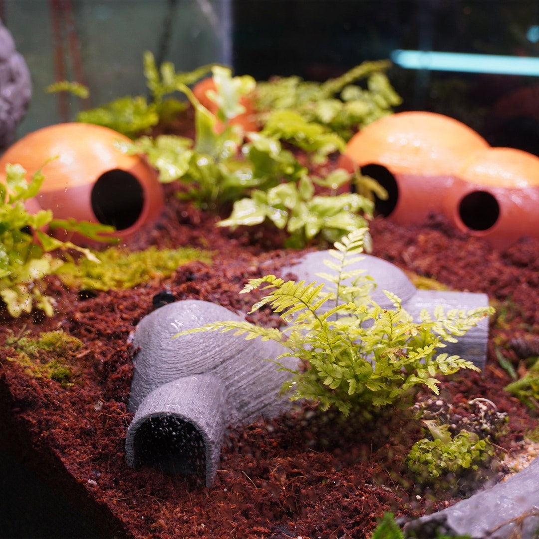 Shrimp Crab Cave Tunnel Hide for Aquarium Aquatic Terrariums Fish Tanks ...