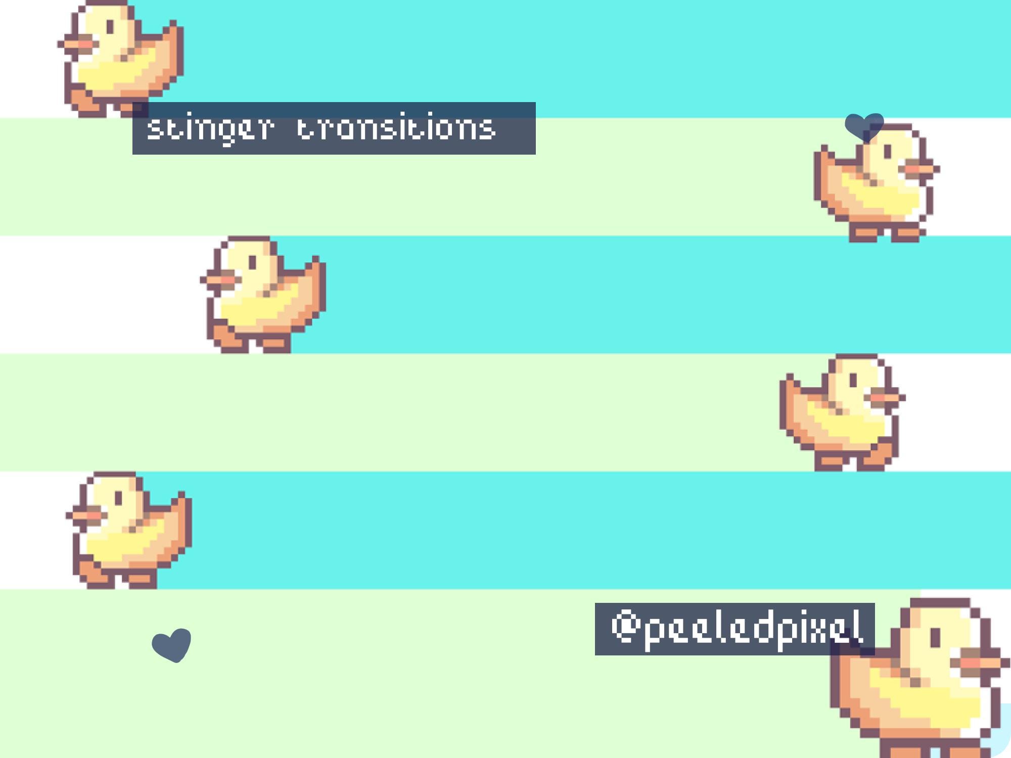 2x Cute Animated Stripy Duck Twitch Stinger Transitions Pack - Cute ...