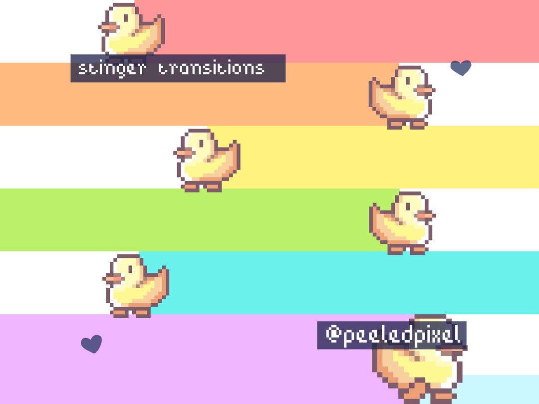 2x Cute Animated Stripy Duck Twitch Stinger Transitions Pack - Cute ...