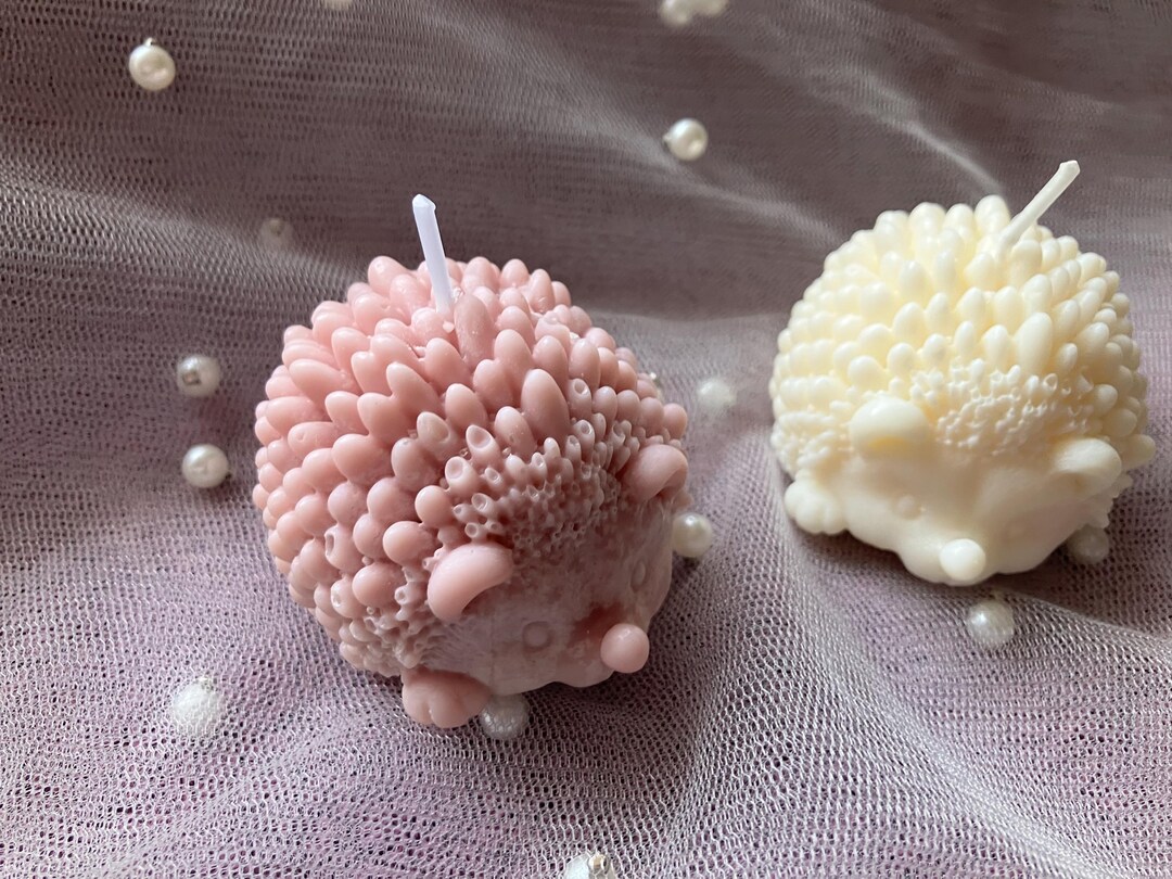 Hand-painted Hedgehog Candle: Choose Scent & Color - Etsy UK