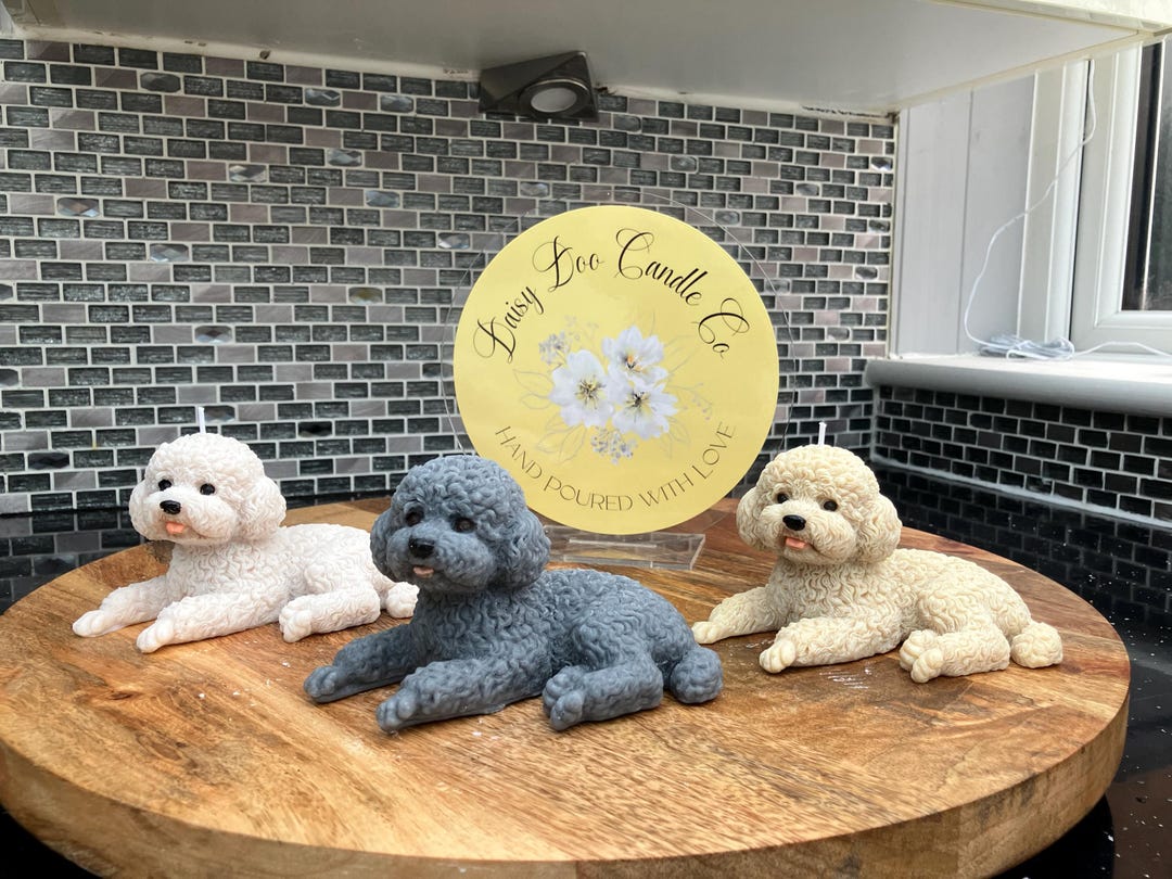 Hand Painted Cockapoo's - Etsy