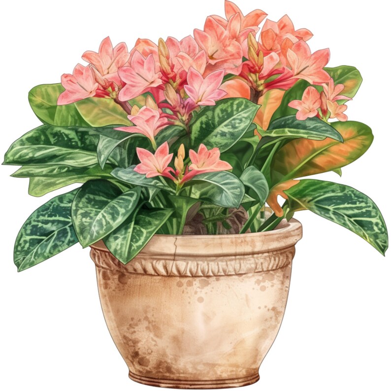 Potted Plant Clipart Bundle Indoor Floral Designs, Watercolor Prints ...