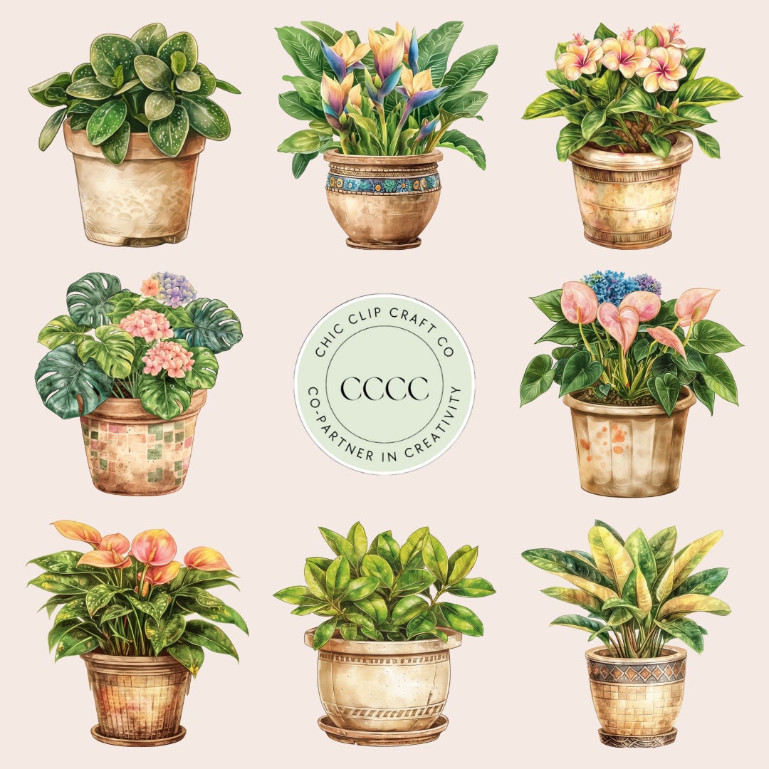 Potted Plant Clipart Bundle Indoor Floral Designs, Watercolor Prints ...