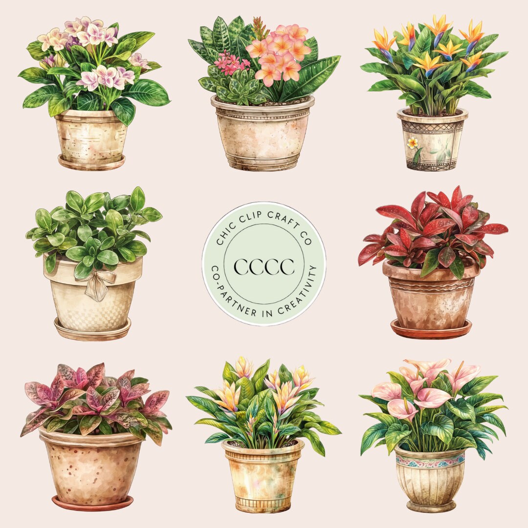 Potted Plant Clipart Bundle Indoor Floral Designs, Watercolor Prints ...