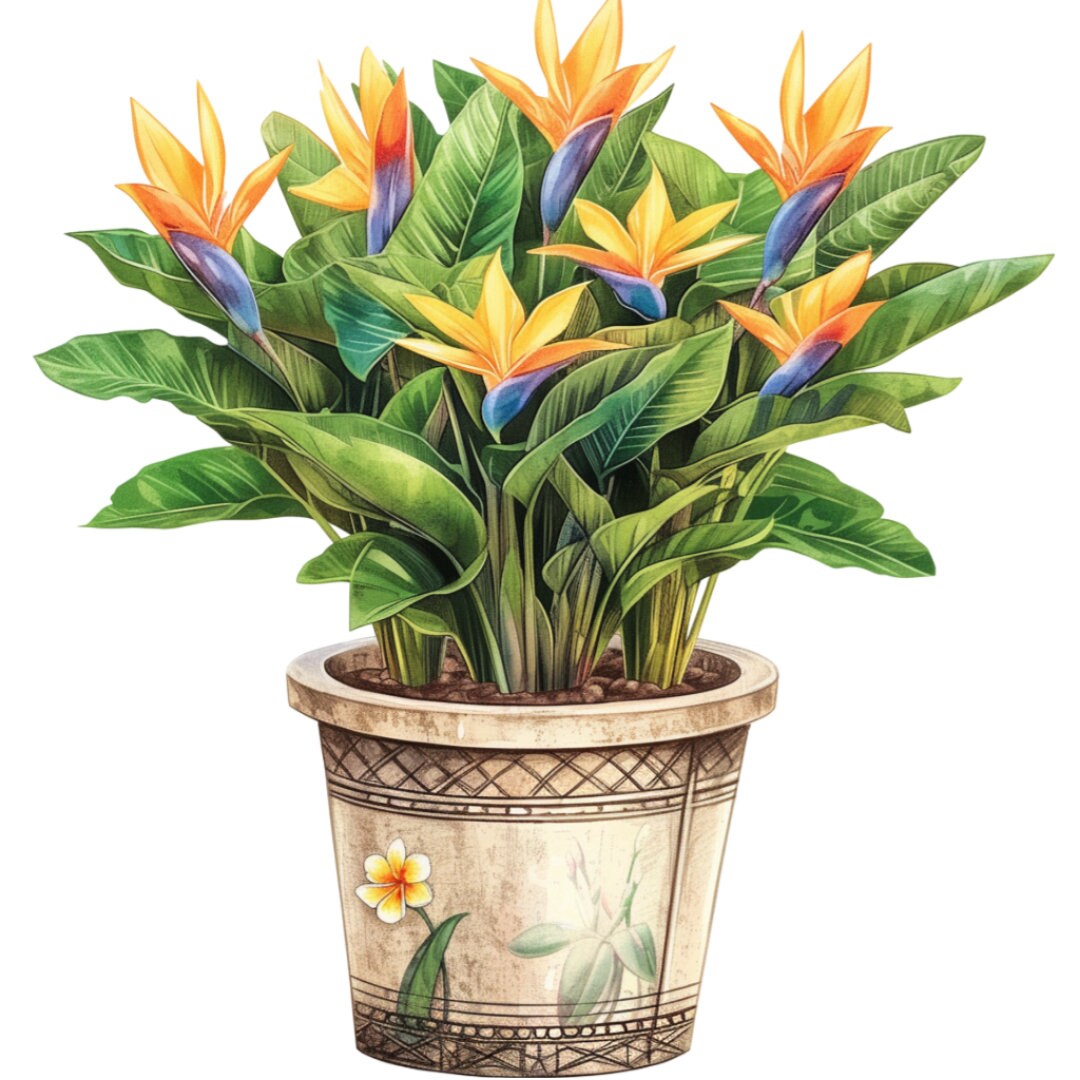 Potted Plant Clipart Bundle Indoor Floral Designs, Watercolor Prints ...