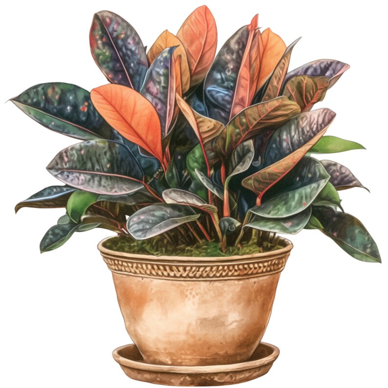 Potted Plant Clipart Bundle Indoor Floral Designs, Watercolor Prints ...