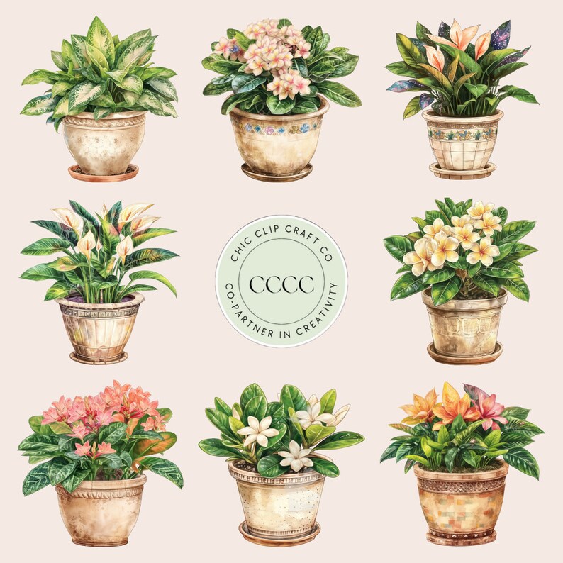 Potted Plant Clipart Bundle Indoor Floral Designs, Watercolor Prints ...
