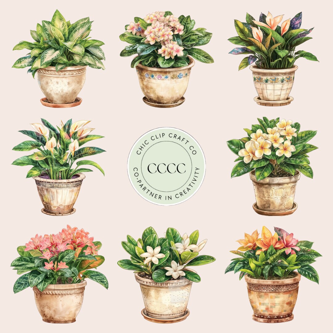 Potted Plant Clipart Bundle Indoor Floral Designs, Watercolor Prints ...