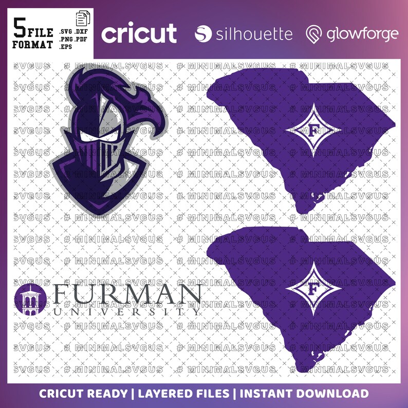 Custom Order 23 - Paladins SVG, Football Team, Basketball, College ...