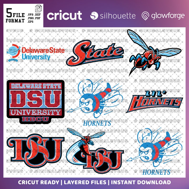 Custom Order 05 Hornets SVG, Football Team, Basketball, College Mascot ...