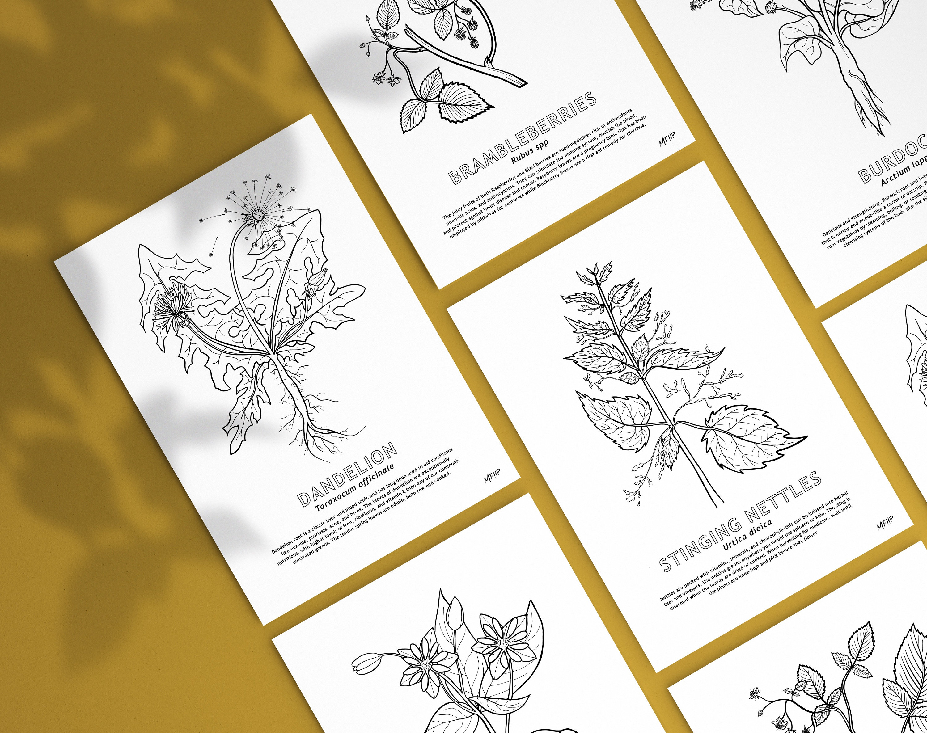 Edible Medicinal Plants Printable Colouring Pages for Kids or Adults ...