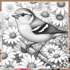 185 Floral Bird Bundle Coloring Pages, Grayscale Coloring Book ...