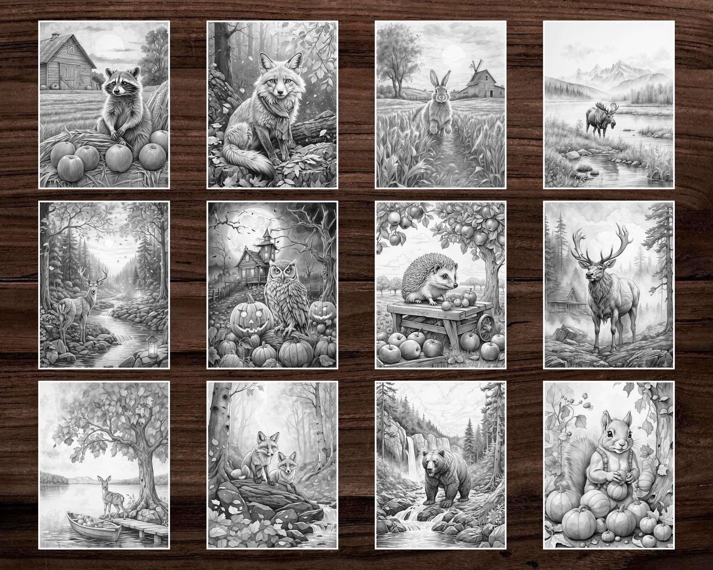 32 Fall Animal Coloring Book, Grayscale Coloring Pages, Autumn Coloring ...