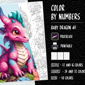 Color by Numbers, Digital Coloring Pages, Paint by Numbers, Procreate ...