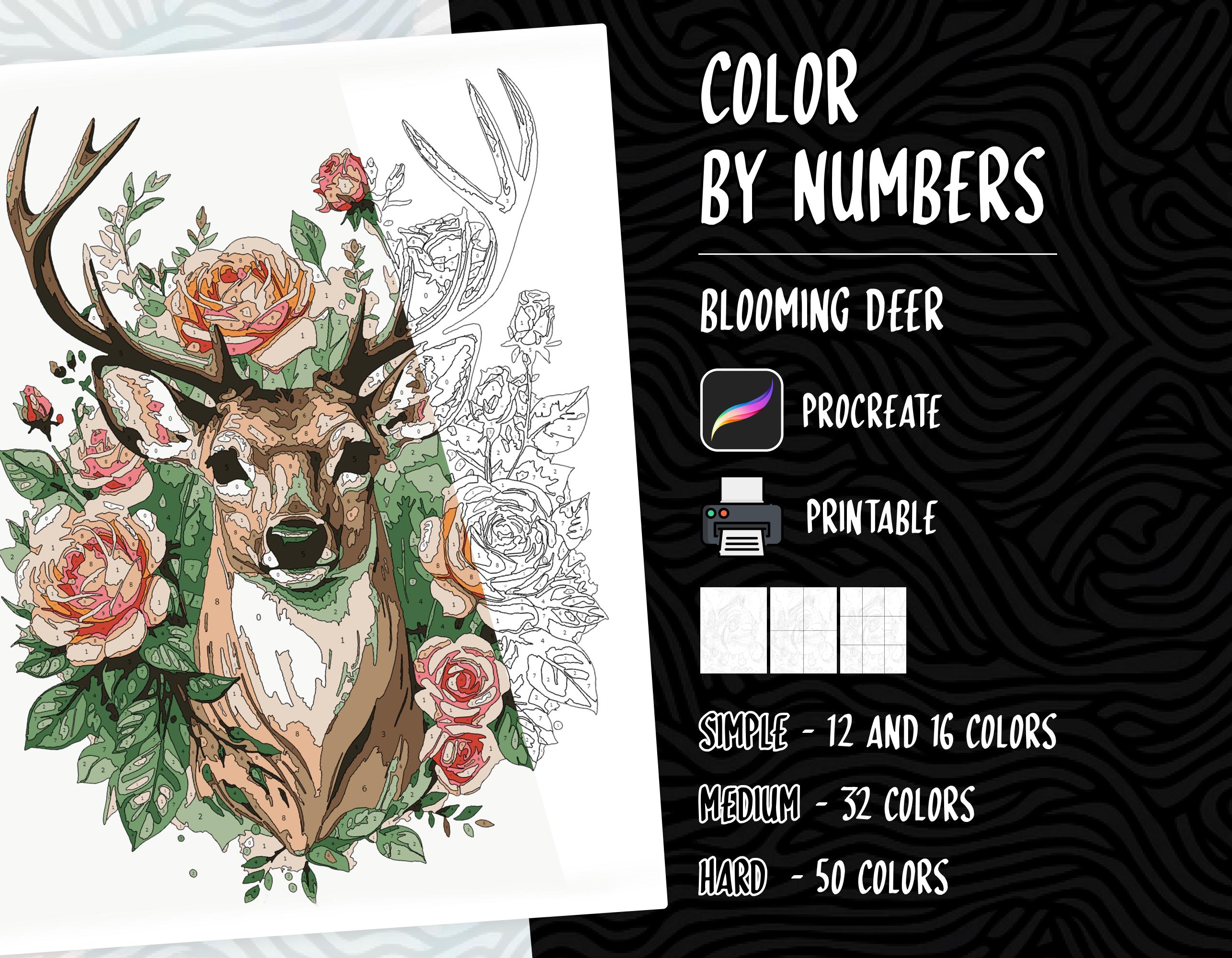 Color by Numbers, Digital Coloring Pages, Paint by Numbers, Procreate ...