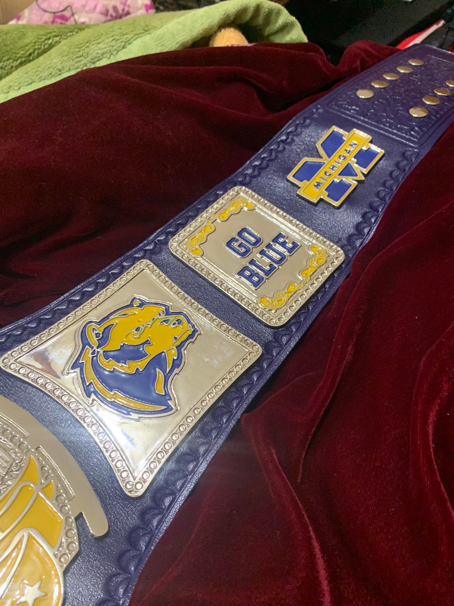 MICHIGAN CHAMPIONSHIP BELT, 4mm Zinc Plates, Real Leather Strap, Adult ...