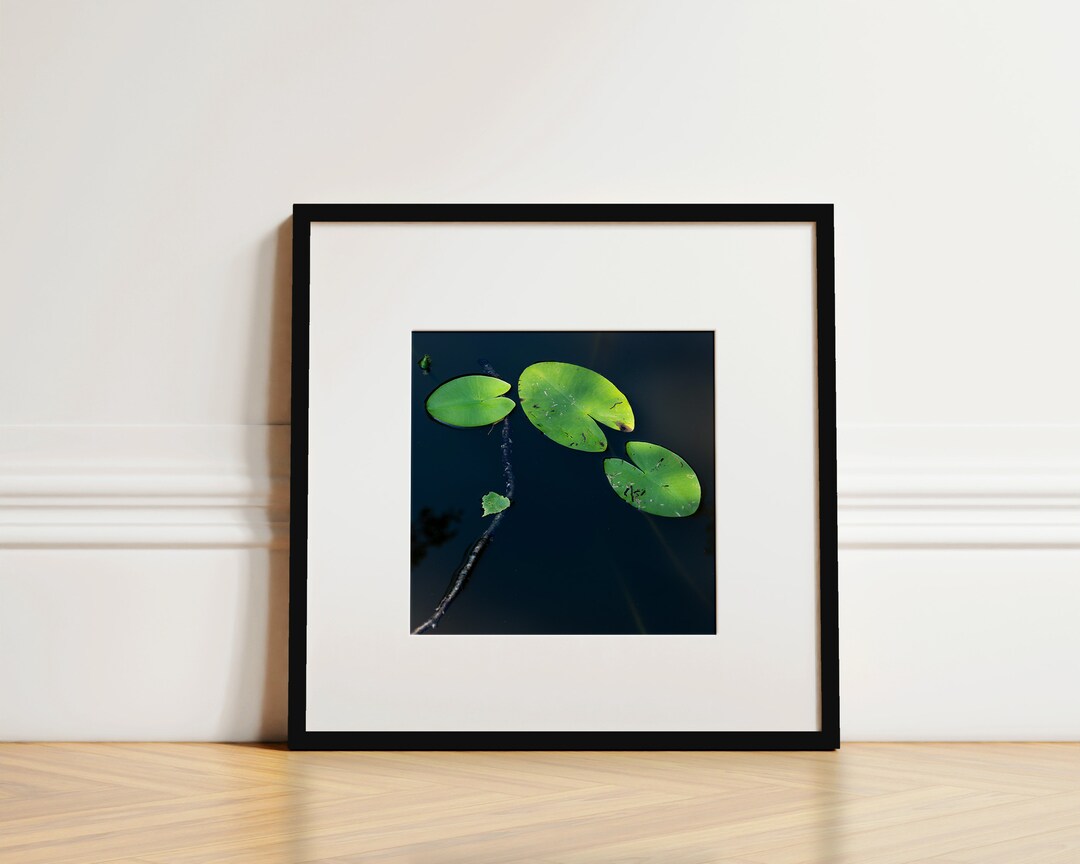 Lily Pad Print, Leave Print, Botanical Prints, High Quality Print ...