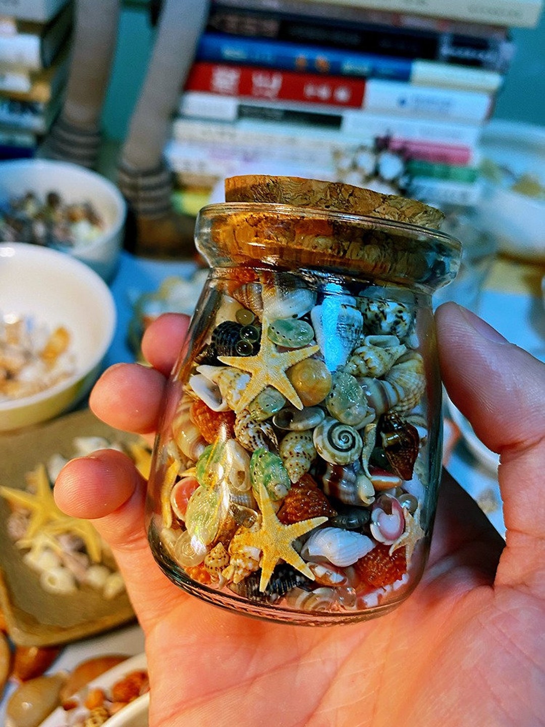 Manual Selection Twelve Kinds of Shell Conch + Starfish, Abalone Shell ...