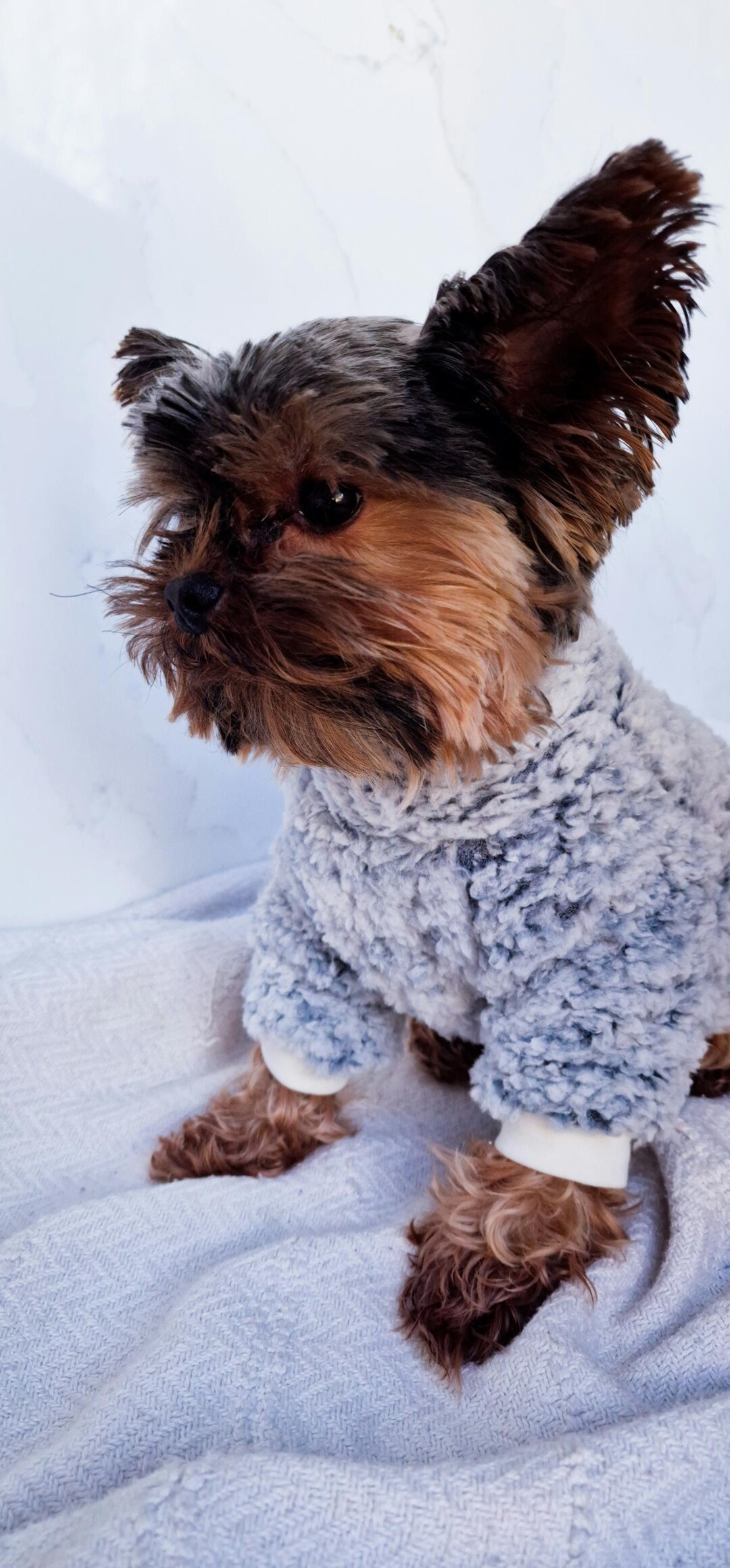 Small Dog Jumper, Grey, Fluffy Jumper for Puppy, Yorkshire Terrier ...