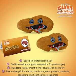 Giantmicrobes Spleen Plush, Splenectomy, Get Well Gifts, Immunologist ...