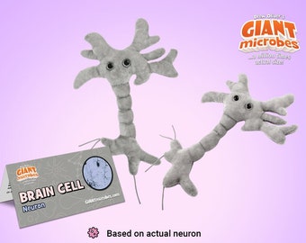 GIANTmicrobes - Etsy