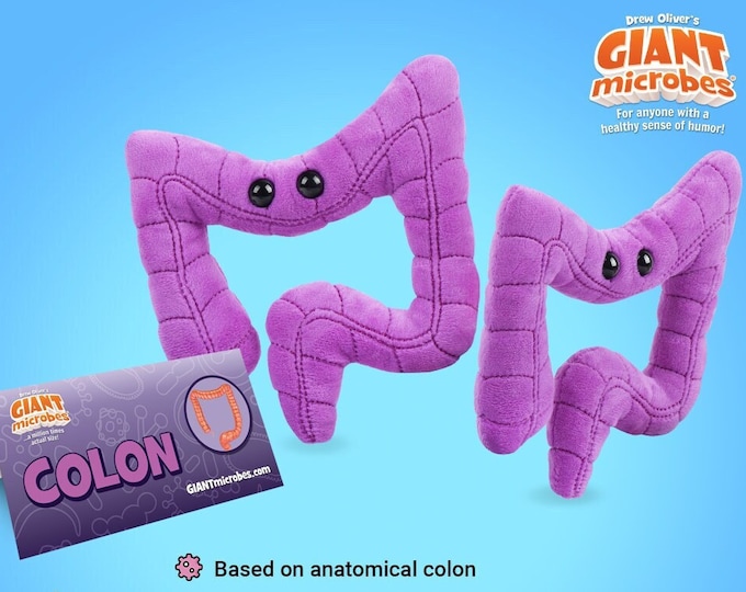 Colin the Colon - Etsy