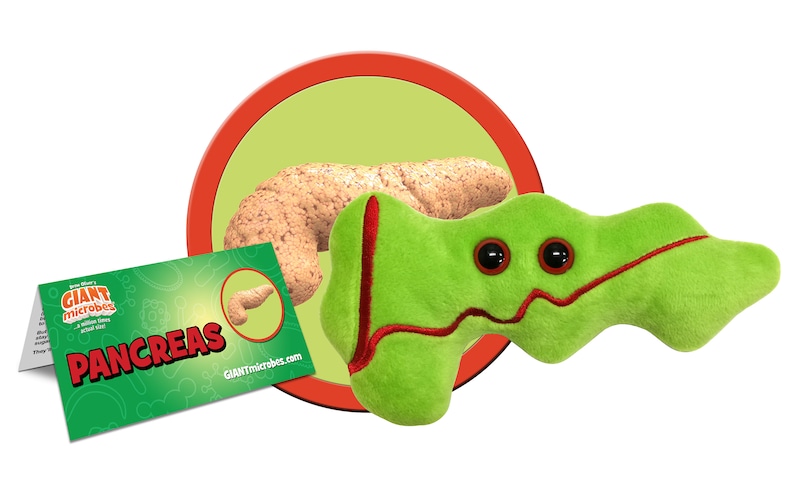 Giantmicrobes Pancreas Plush, Diabetes Gifts, Get Well Gifts ...