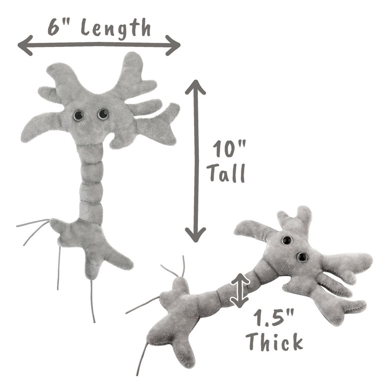 Giantmicrobes Brain Cell Plush, Neuron Plush, Neuroscience Gifts ...