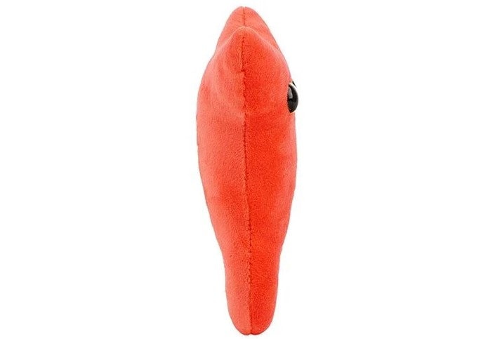 Giantmicrobes Appendix Plush, Appendix Stuffed Animal, Organ Toy, Funny ...