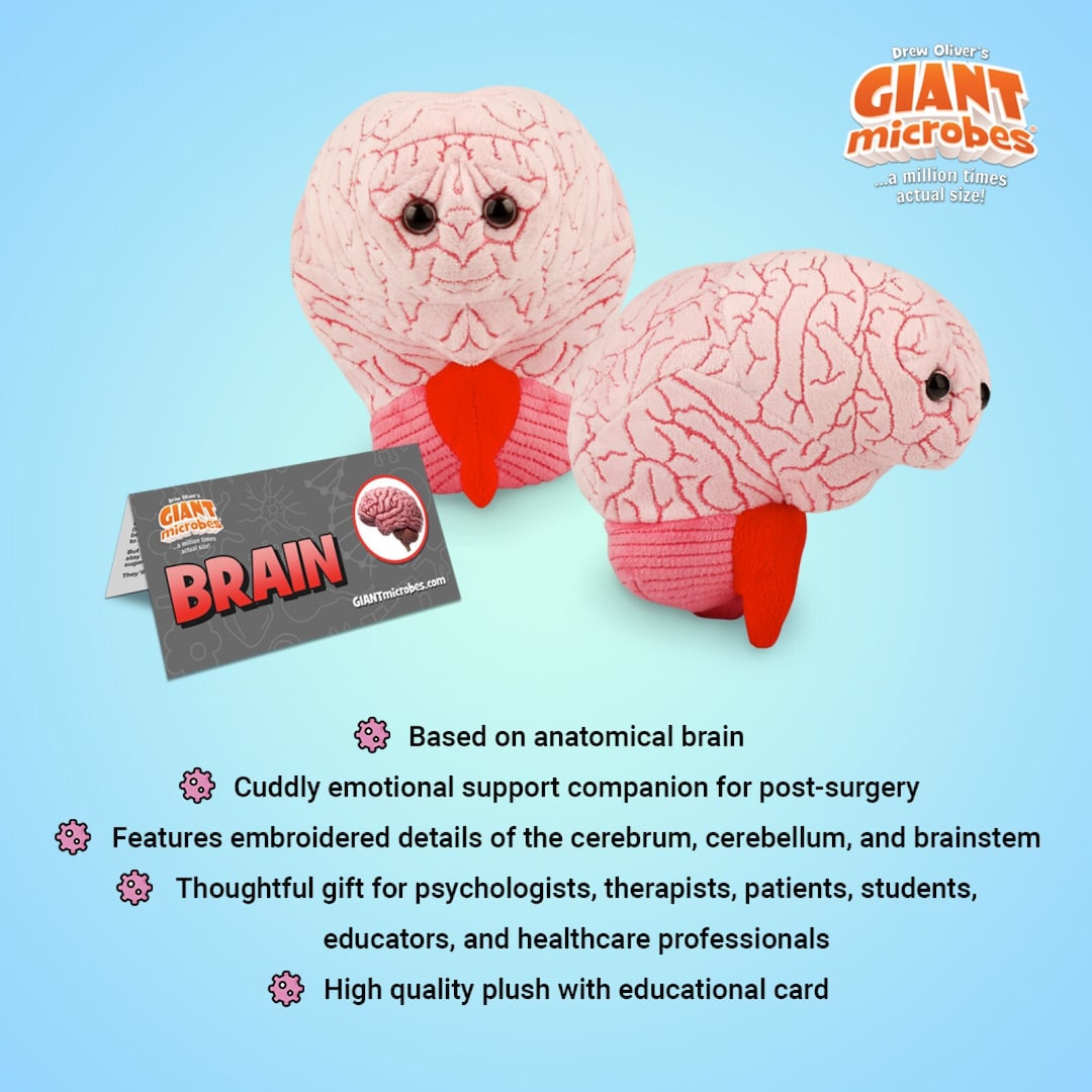 Giantmicrobes Brain Plush, Brain Toy, Brain Gifts for Neurologist ...