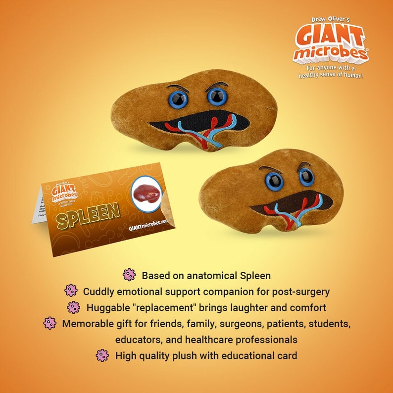 Giantmicrobes Spleen Plush, Splenectomy, Get Well Gifts, Immunologist ...